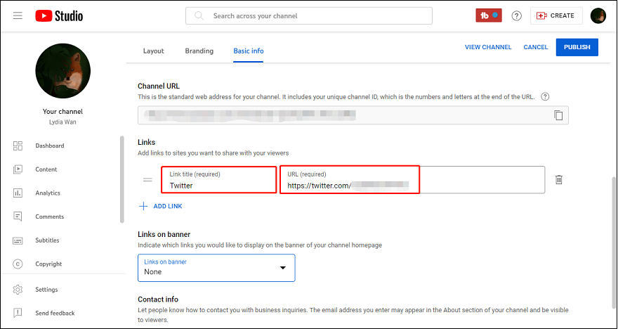 How to Link Your Twitter and YouTube Accounts