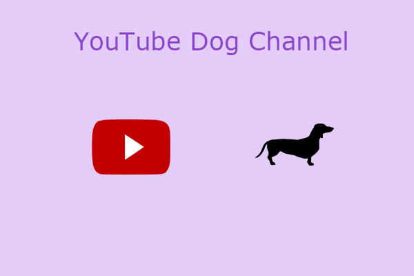 Top 7 YouTube Dog Channels to Follow for Dog Lovers