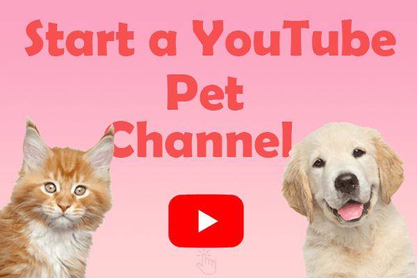 5 Tips for Starting a YouTube Pet Channel You Need to Know