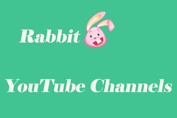 Rabbit YouTube Channels You Have to Check Out