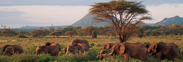 Top Documentaries of All Time on YouTube & Download Them Now